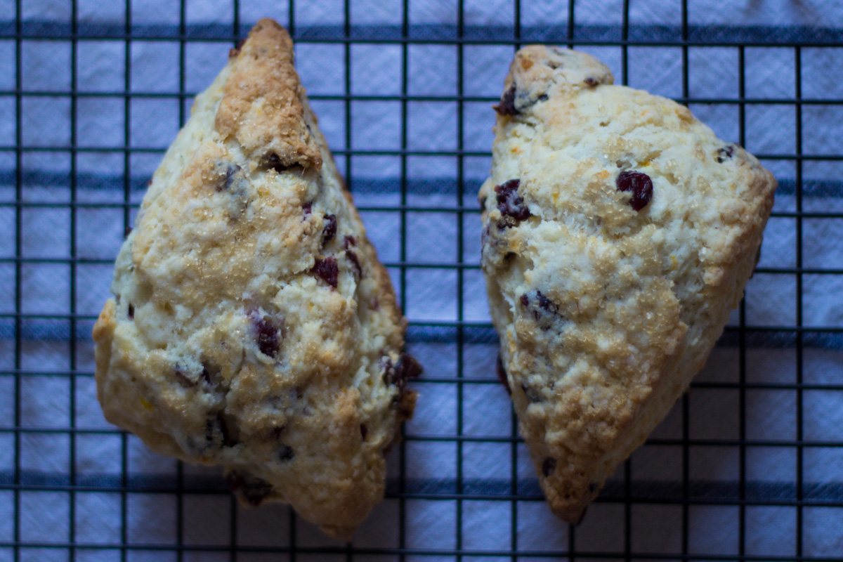 On being creative + a winter scone recipe – Michelle Arbus