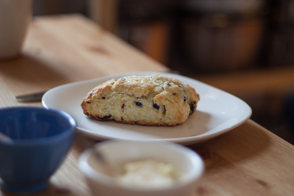 On being creative + a winter scone recipe – Michelle Arbus